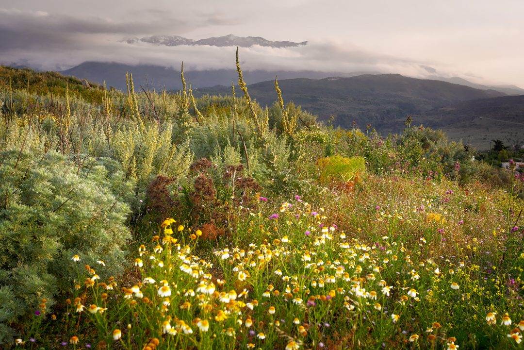 THINGS TO DO IN CRETE - Greece Travel Secrets