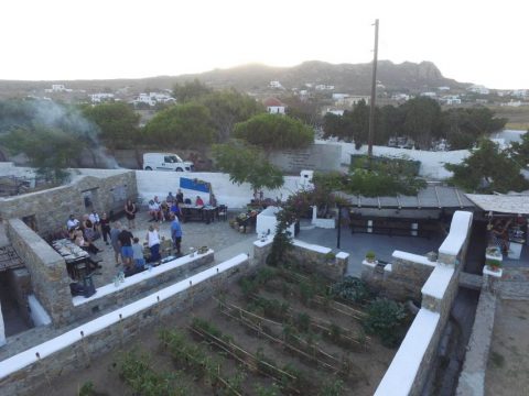 Things to do on Mykonos - there more to this island than parties!