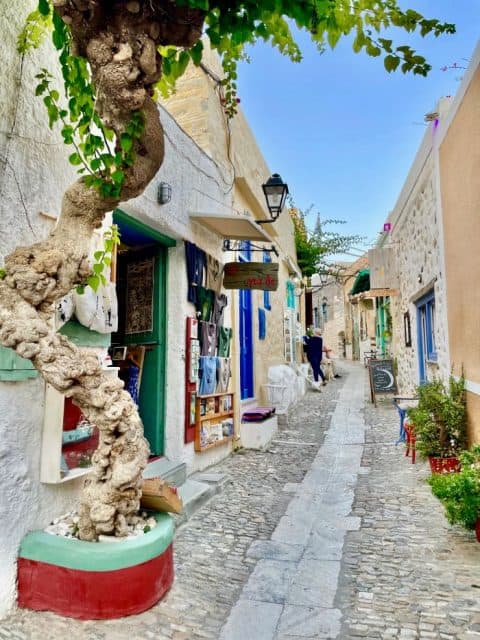 A COMPLETE GUIDE TO ANO SYROS